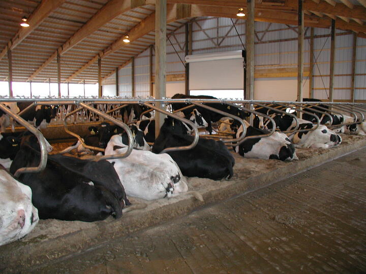 Pack Mat - Diepstrooiselmatras