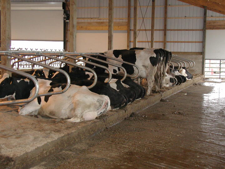 Pack Mat - Diepstrooiselmatras