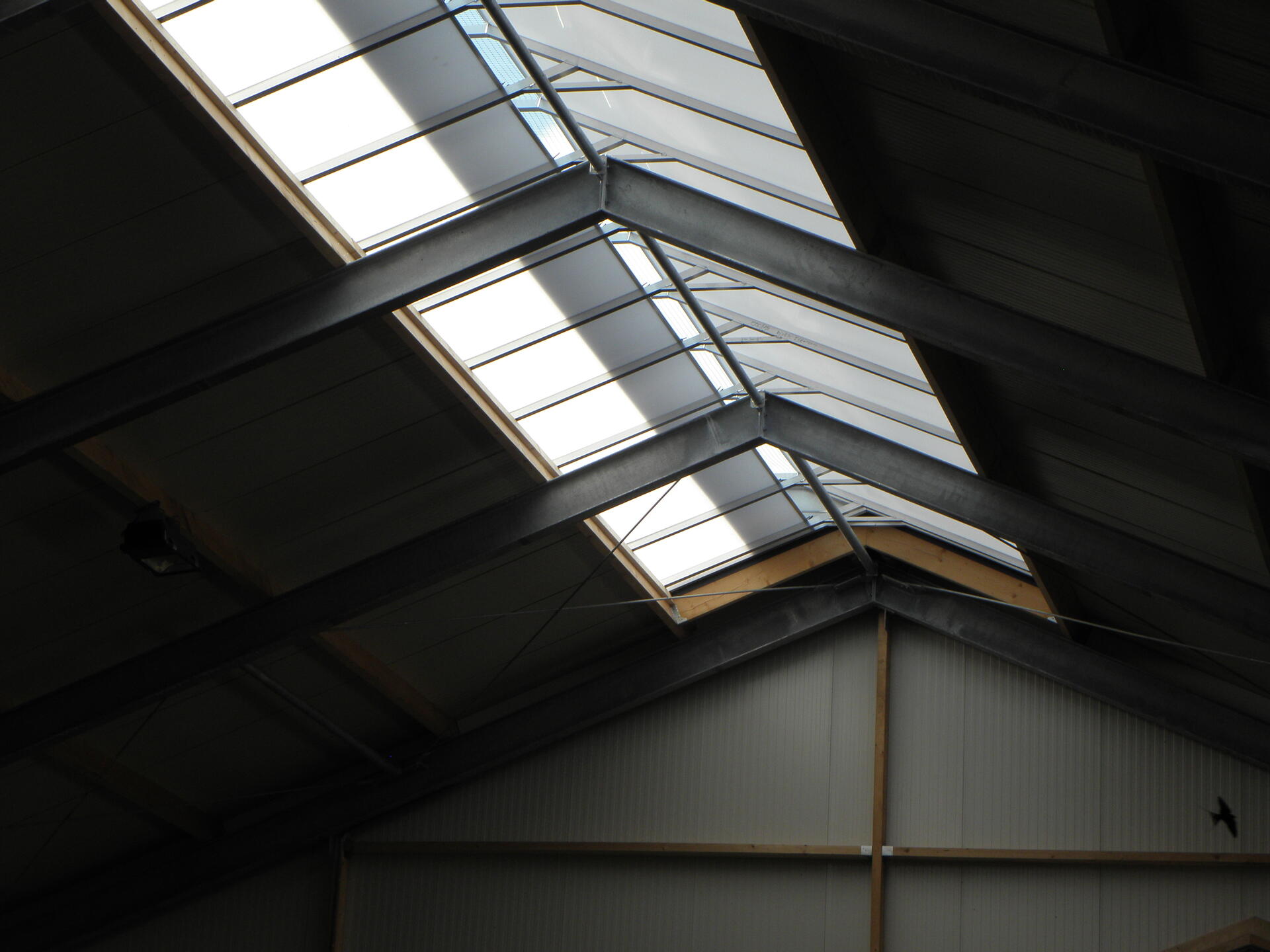 Oversteek Licht-en ventilatienok